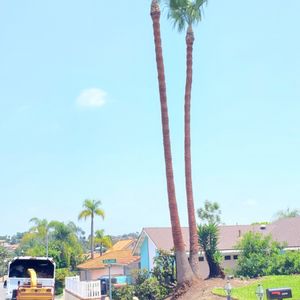 GRUETT TREE - Updated August 2025 - 18 Photos & 47 Reviews - 1204 W ...