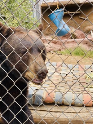 HERITAGE PARK ZOOLOGICAL SANCTUARY - 126 Photos & 76 Reviews - 1403 ...