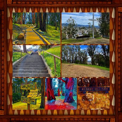 ALBANY HILL PARK - 73 Photos & 26 Reviews - 700 Taft Ave, Albany ...