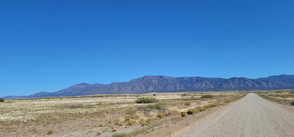 PATRICIA HAYDEN-REBER - BACK HOME NM - Updated August 2025 - 1775 Main ...