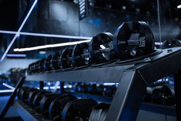 AMPED FITNESS - FORT MYERS - Updated December 2025 - 12 Photos & 29 ...