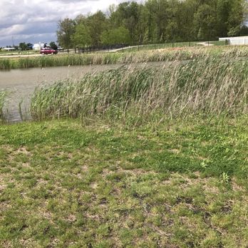 DARREE FIELDS DOG PARK - Updated December 2025 - 14 Photos & 15 Reviews ...