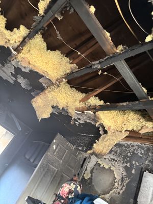 Bamboo Insurance - Trusted Since 2022 - Updated July 2025 - 29 Photos ...