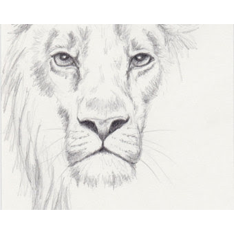 PERIDOT-LION ENTERTAINMENT - Updated April 2025 - New York, New York ...