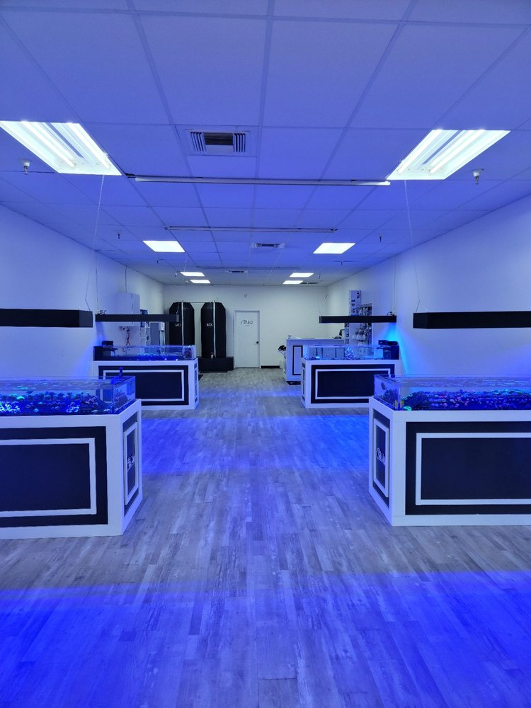 CALI KID CORALS - NOR CAL - Updated May 2025 - 10 Photos & 21 Reviews ...