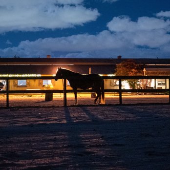 DAVIE RANCH - Updated September 2025 - 140 Photos & 45 Reviews - 5780 ...