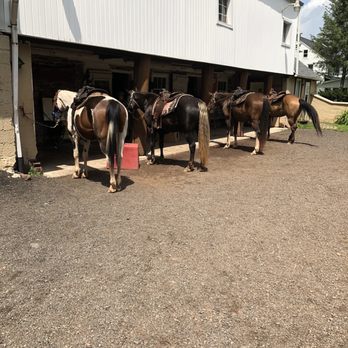 RED BUFFALO RANCH - Updated August 2025 - 68 Photos & 60 Reviews - 1106 ...