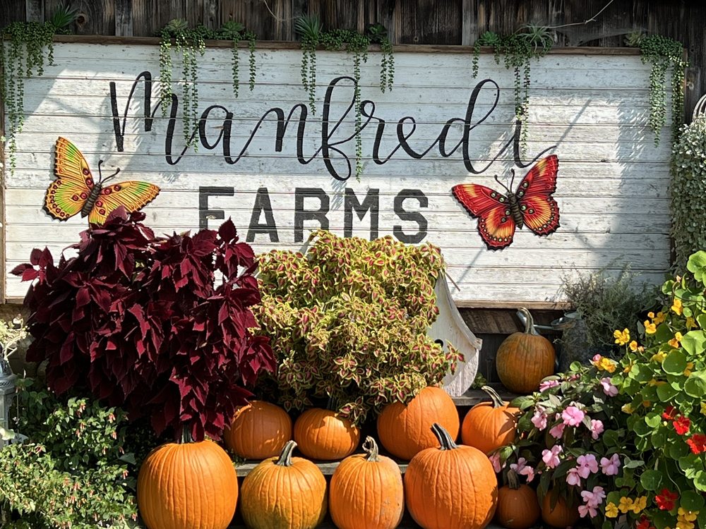MANFREDI FARMS - Updated October 2025 - 24 Photos & 21 Reviews - 59 ...