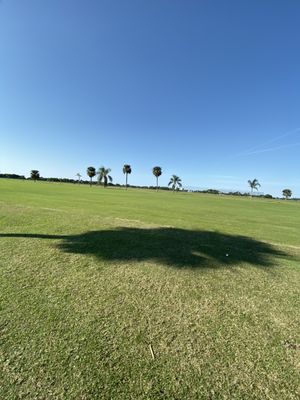 LAKE VENICE GOLF CLUB - 10 Photos - Venice, Florida - Golf - Phone ...