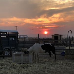 BARBER FAMILY FARM - 253 Photos & 24 Reviews - 45620 30th St E ...