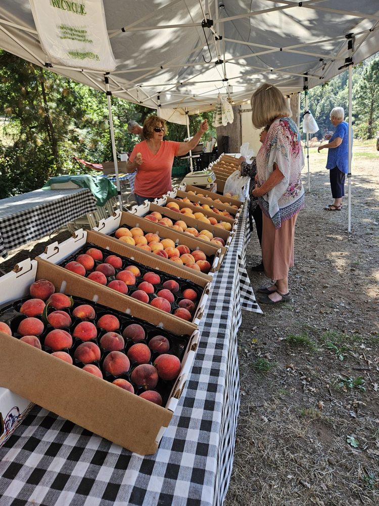 FAUSEL RANCH - Updated October 2025 - 4881 Hanks Exchange Rd ...