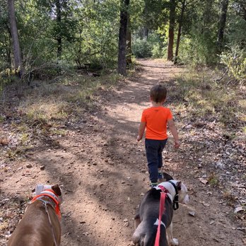 BUESCHER STATE PARK - Updated December 2025 - 62 Photos & 16 Reviews ...