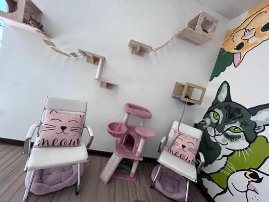 THE CATTITUDE CAFE - Updated January 2026 - 27 Photos - 225 E 11th St ...