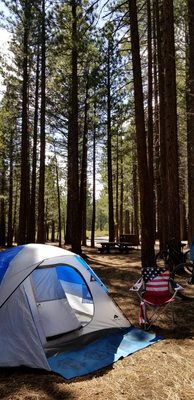 NEW SHADY REST CAMPGROUND - Updated July 2025 - Sawmill Cutoff, Mammoth ...
