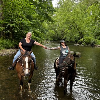 SHEEDER MILL FARM - Updated October 2025 - 96 Photos & 58 Reviews - 12 ...