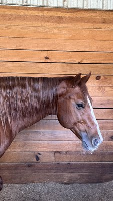 CASCADE STABLES - Updated March 2026 - 17 Photos & 13 Reviews - 700 E ...