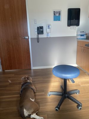 VCA CANADA CENTRAL VICTORIA VETERINARY HOSPITAL - Updated December 2025 ...