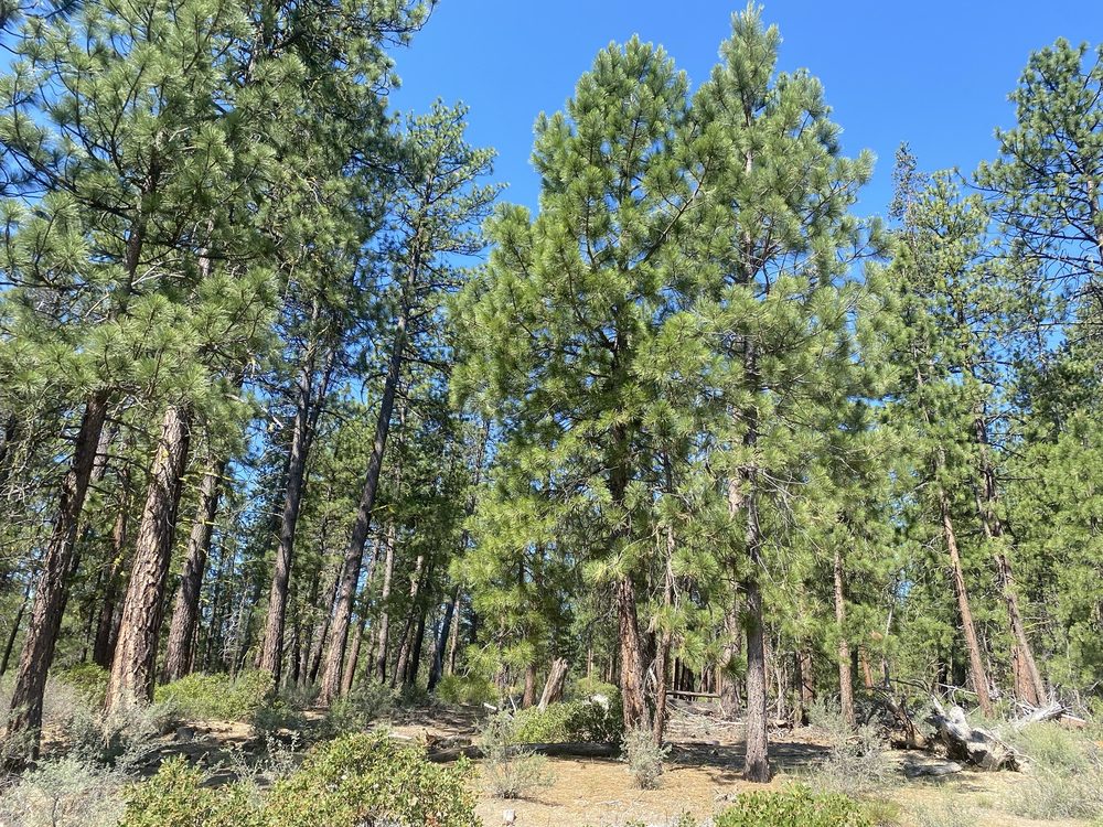 BEAVER MARSH REST AREA SOUTHBOUND - Updated September 2025 - US Highway ...