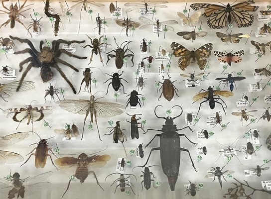 WHITE TANK LIBRARY - Updated December 2025 - 104 Photos & 43 Reviews ...