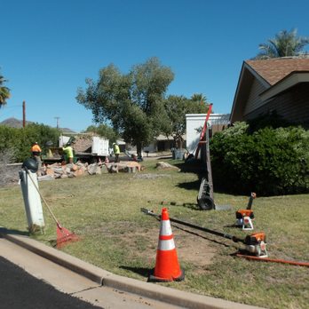 SAM THE TREE GUY - Updated September 2025 - 24 Photos & 21 Reviews ...