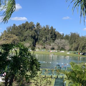 WARM MINERAL SPRINGS - 168 Photos & 55 Reviews - Hot Springs - 12200 ...