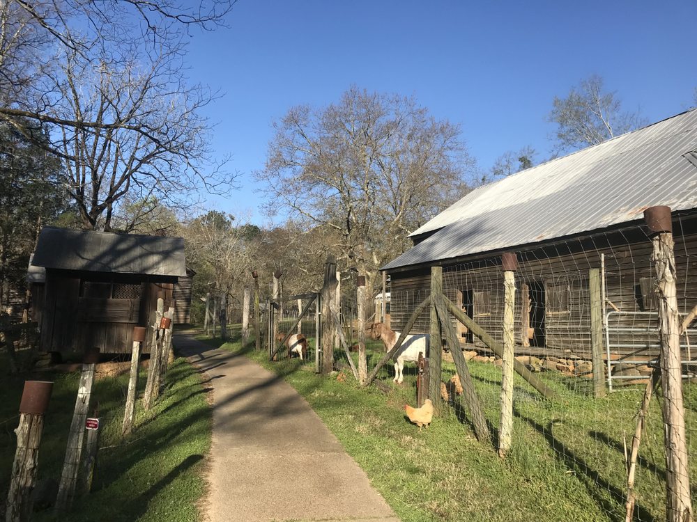JARRELL PLANTATION HISTORIC SITE - Updated June 2025 - 25 Photos - 711 ...