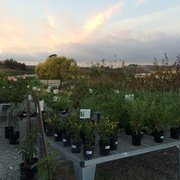 CAL POLY POMONA FARM STORE - 558 Photos & 172 Reviews - Fruits ...