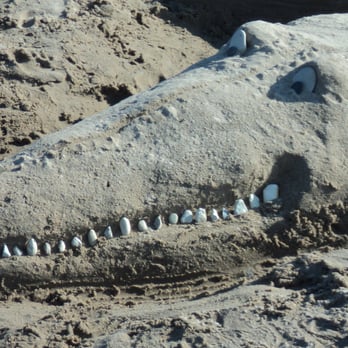 BEACHSIDE OASIS - Updated November 2025 - 15 Reviews & 18 Photos - 100 ...