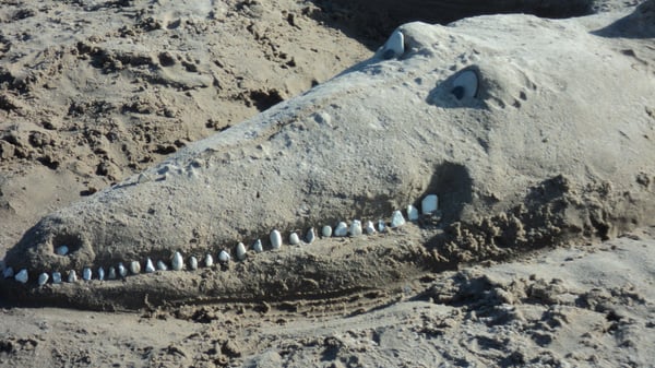 BEACHSIDE OASIS - Updated November 2025 - 15 Reviews & 18 Photos - 100 ...