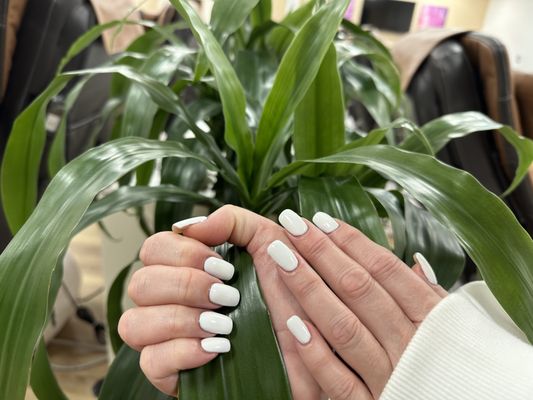 DEJA NAIL SPA - Updated October 2025 - 76 Photos & 18 Reviews - 706 ...