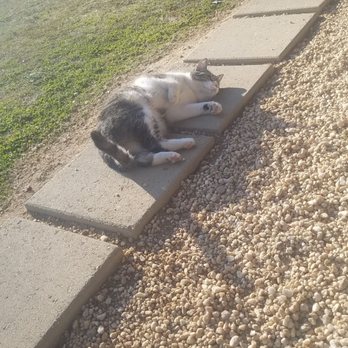 NATIVE VINES WINERY - Updated March 2025 - 44 Photos & 21 Reviews ...