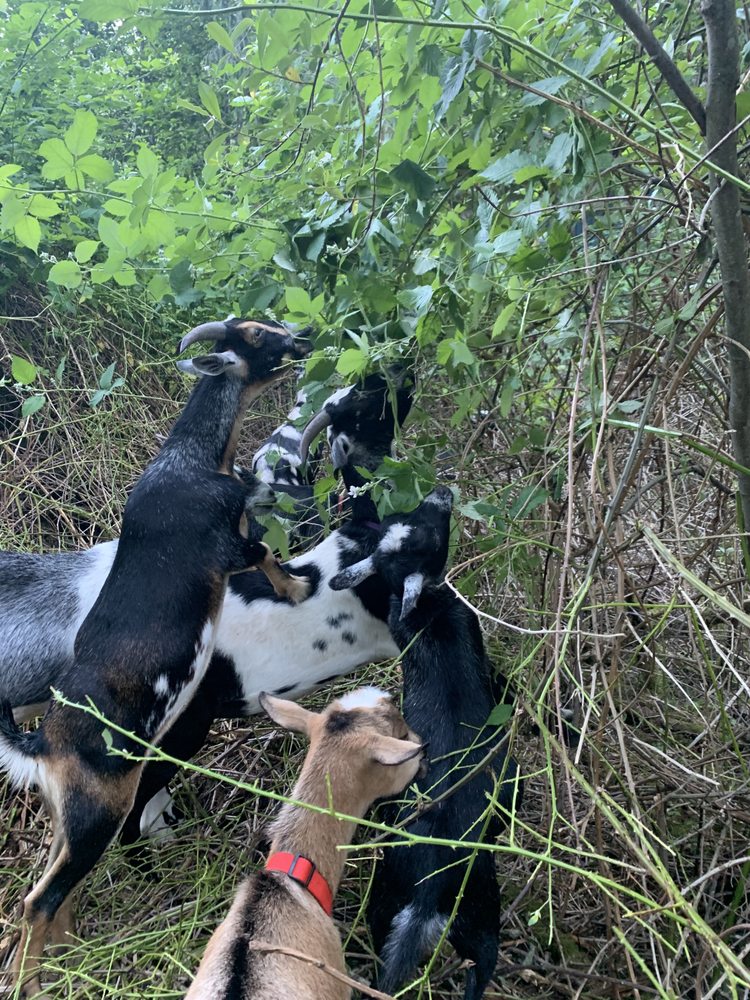 HAPPY PATH FARMS - Updated January 2026 - Request a Quote - 22 Photos ...