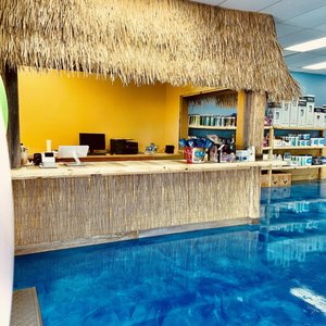 TIP TOP POOLS - Updated January 2025 - 15 Photos - 356 Grande Vista Blvd, Bradenton, Florida ...