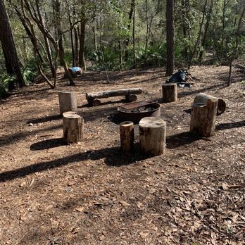 JENNINGS STATE FOREST - Updated August 2025 - 63 Photos & 10 Reviews ...