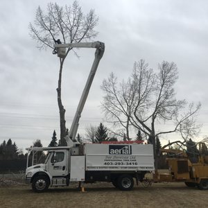 TREE SERVICE CALGARY - 25 Photos - 538 Saddlecreek Way #105 NE, Calgary ...