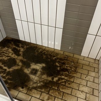 MASTER ROOTER - Updated March 2025 - 67 Photos & 79 Reviews - 2915 N Norfolk, Mesa, Arizona ...