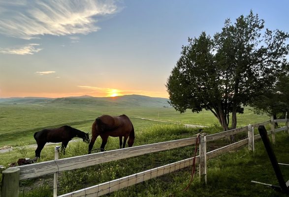 DRY CREEK WRANGLER SCHOOL - Updated January 2026 - 142 S R Buffalo ...