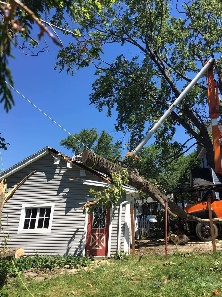 TREE BROS - Updated September 2025 - 37 Photos - 6970 Tilton Rd ...