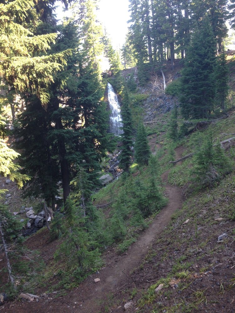 SUSAN GODWIN - MOUNTAIN PATHS COUNSELING - Updated October 2025 - 5882 ...