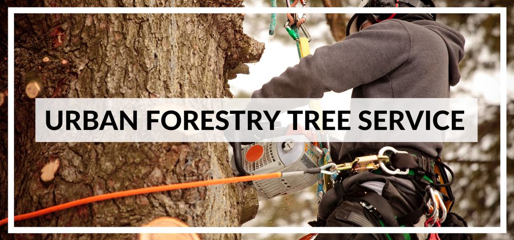 URBAN FORESTRY TREE SERVICE - Updated December 2025 - Request a Quote ...