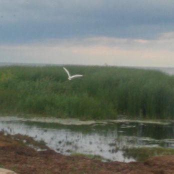 LINWOOD BEACH MARINA & CAMPGROUND - Updated October 2025 - 30 Photos ...