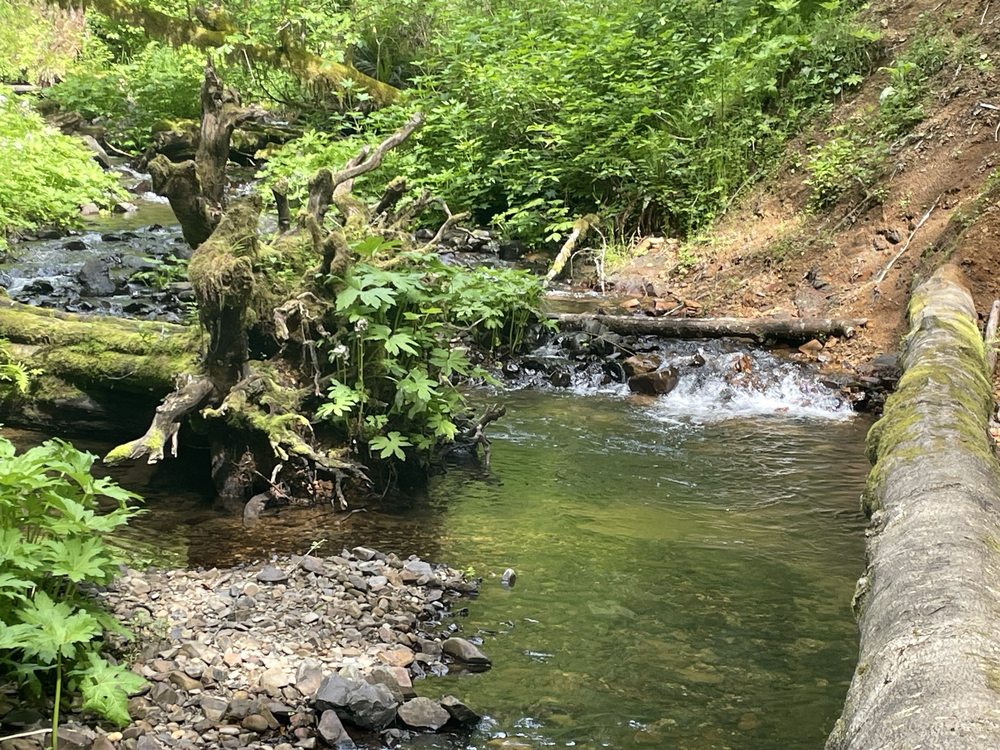 LEE WOODEN FISHHAWK FALLS PARK - Updated October 2025 - 202 Hwy ...