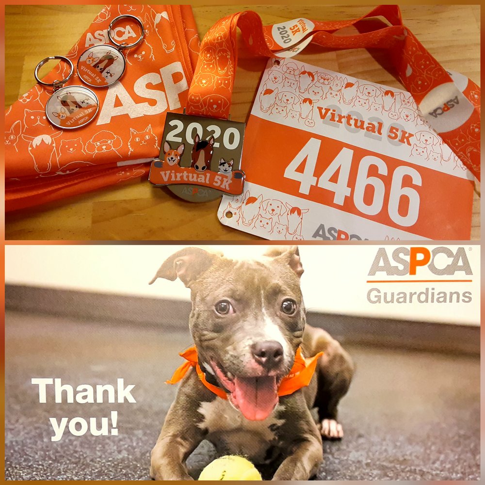 ASPCA SPAY/NEUTER CLINIC - Updated December 2024 - 59 Photos & 61 ...