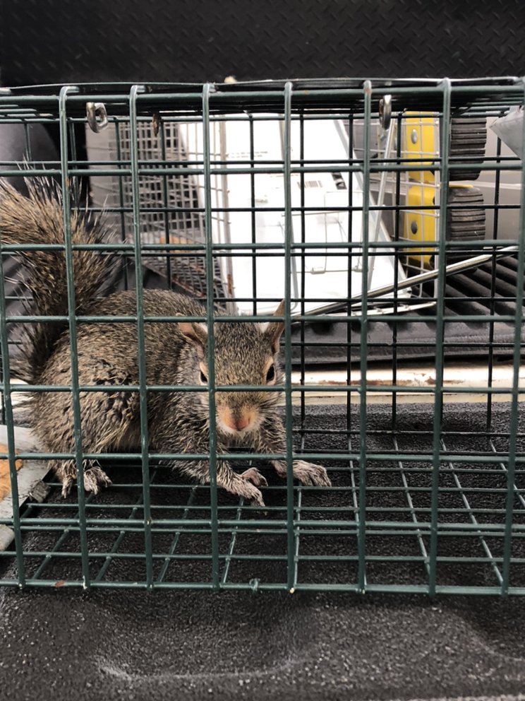 BAKER PEST MANAGEMENT - Updated April 2025 - Cocoa, Florida - Pest ...