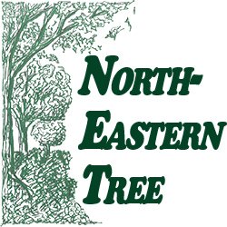 NORTH EASTERN TREE SERVICE - Updated December 2025 - 29 Photos & 104 ...