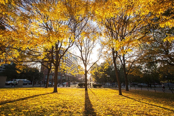 BOSTON PHOTOGRAPHY WORKSHOPS - Updated December 2025 - 21 Photos & 45 ...