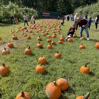 Photos of DEMAREST FARM - Updated August 2024 - 773 Photos & 334 ...