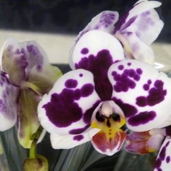 WALMART - Updated December 2025 - 85 Photos & 40 Reviews - 1900 ...