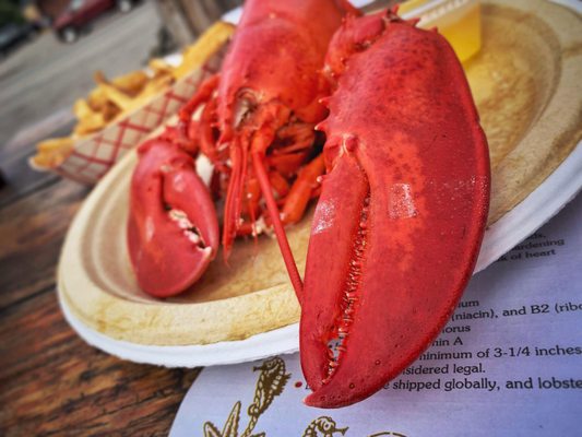 DOCKS SEAFOOD - 324 Photos & 373 Reviews - 15 Evans St, South Portland ...