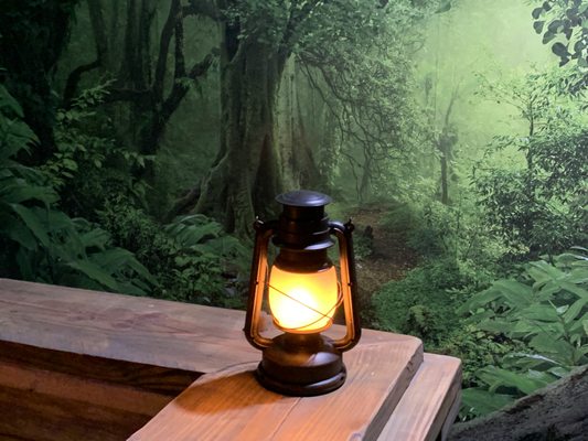 BREAKOUT ADVENTURE - Updated November 2025 - 13 Photos - 1700 Frederica ...